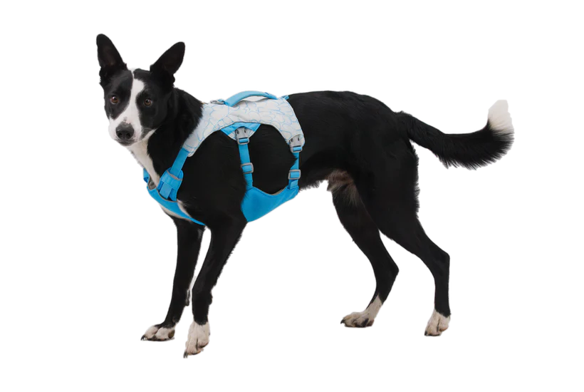 Ruffwear Swamp Cooler Cooling Dog Harnas - Dogpride NL