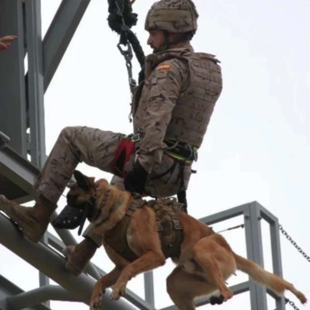OENK9 Spec Ops Harness - Dogpride NL