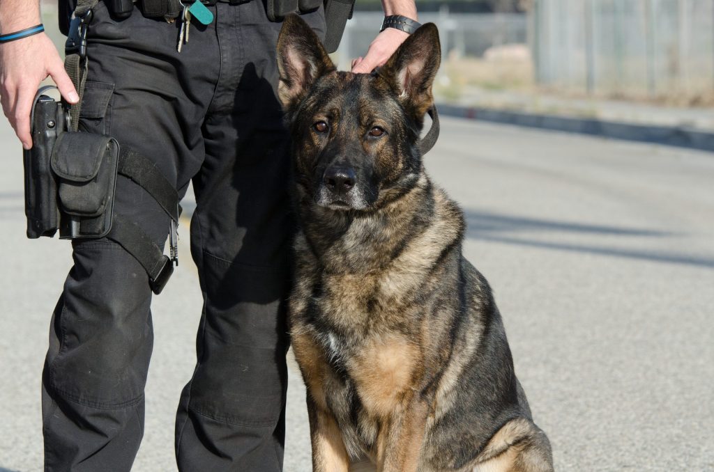 K9 Units - Dogpride NL