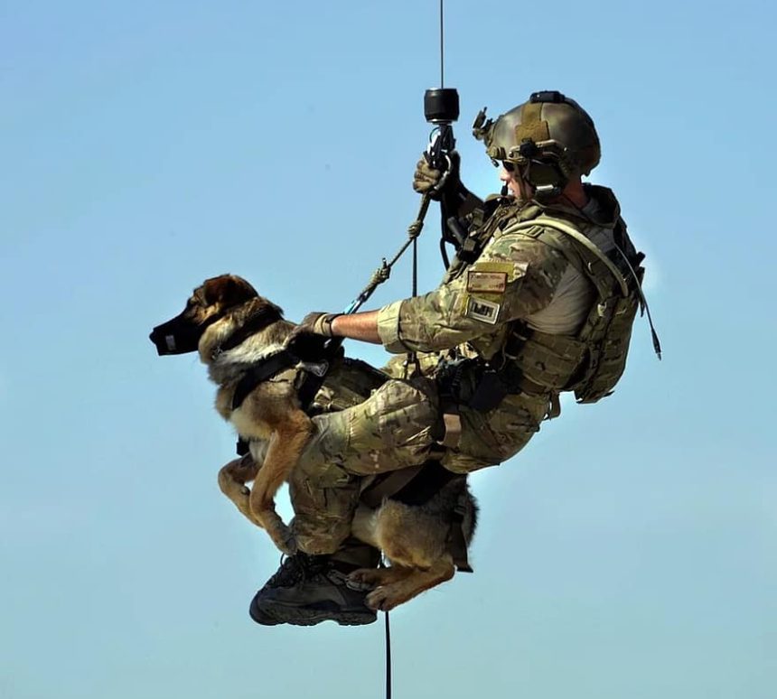 K9 Units - Dogpride NL